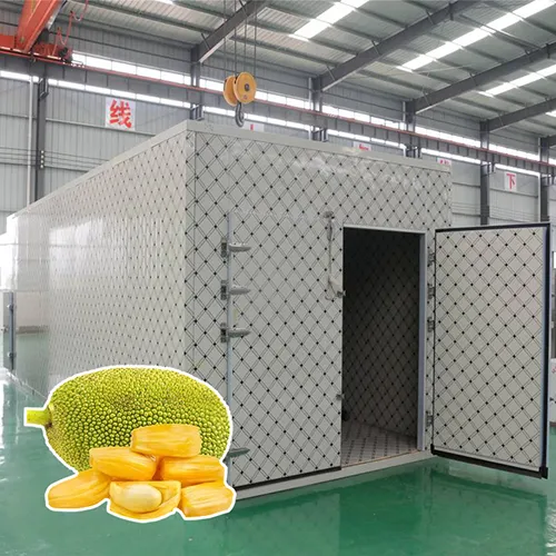 Commercial jackfruit drying machine - Joying Machinery Food Dehydrators