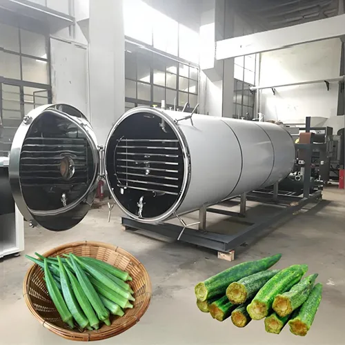 Okra freeze-drying machine